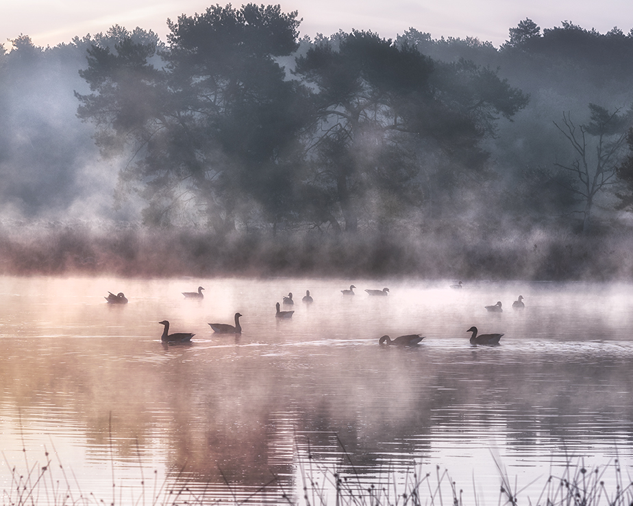 Dreamy morning – Awesome wonder